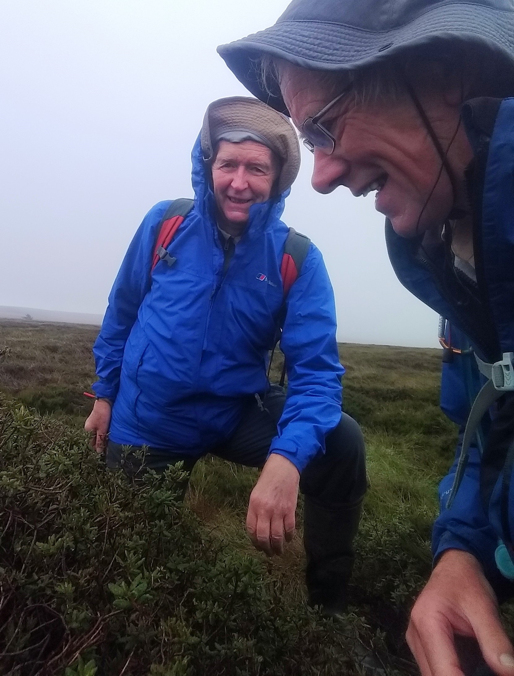 Day meet notes – The Yorkshire Ramblers' Club