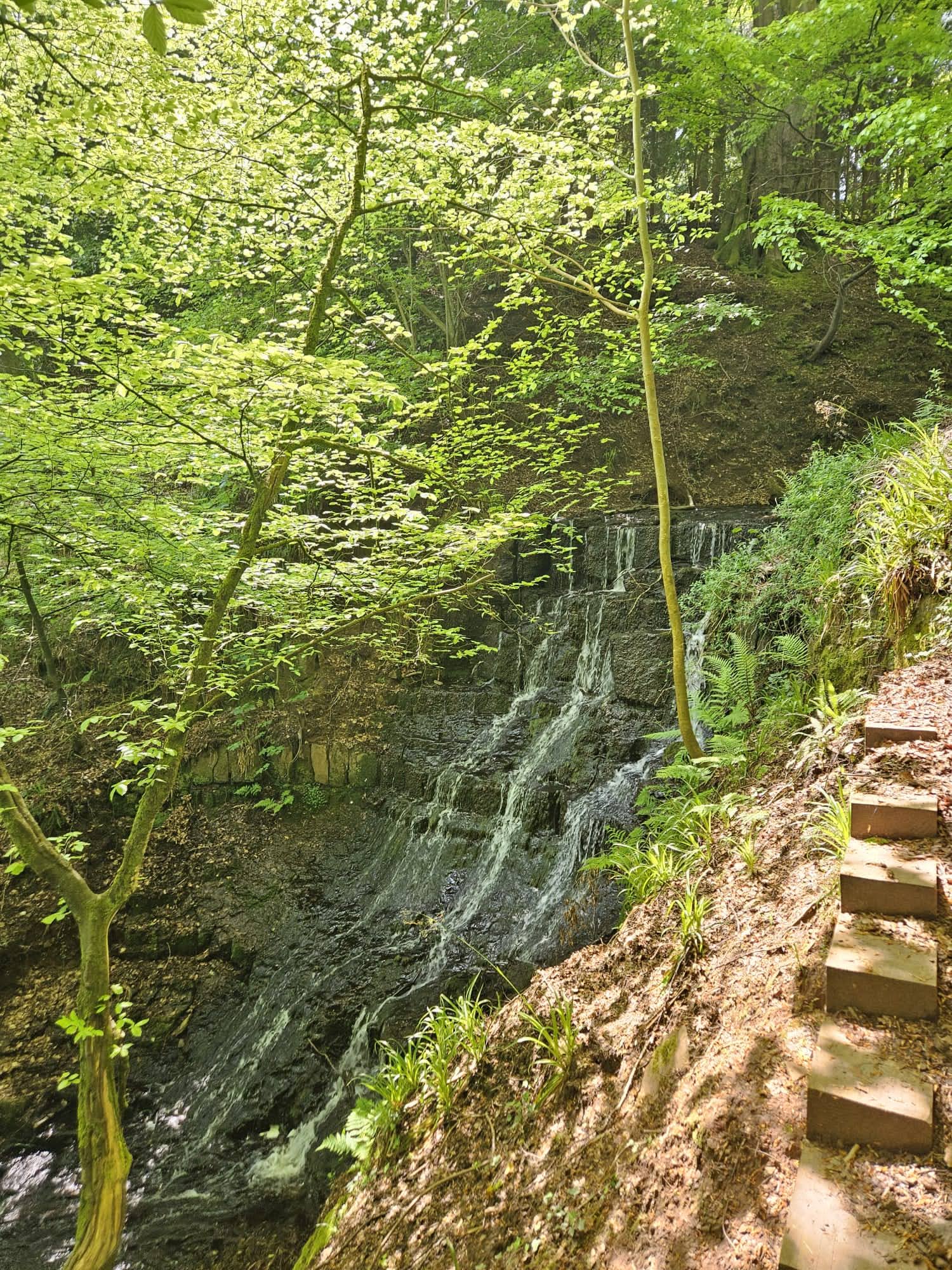 Cleddon Falls – The Yorkshire Ramblers' Club